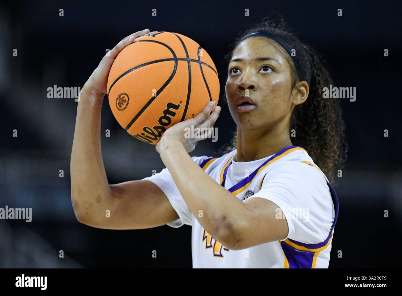 EVANSVILLE, IN - MARCH 08: Tennessee Tech Golden Eagles Guard Chloe ...
