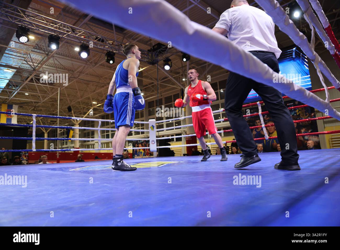ODESSA, UKRAINE - March 10, 2025: Ukrainian Boxing Cup among men and ...