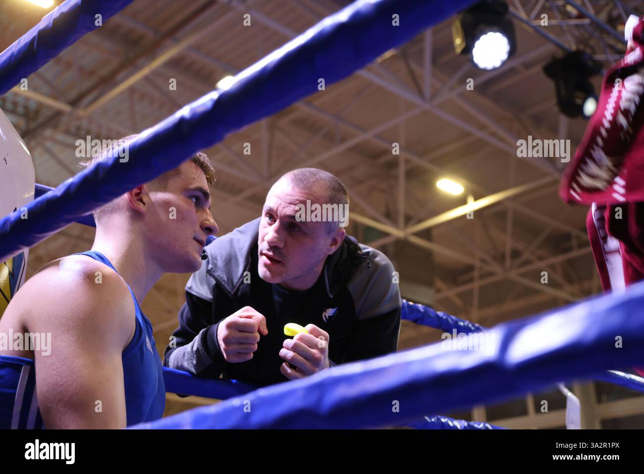 ODESSA, UKRAINE - March 10, 2025: Ukrainian Boxing Cup among men and ...