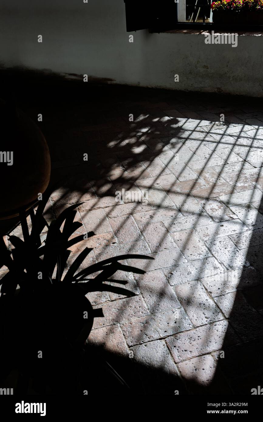 Sunlight casts intricate shadows from a window onto the floor of a ...