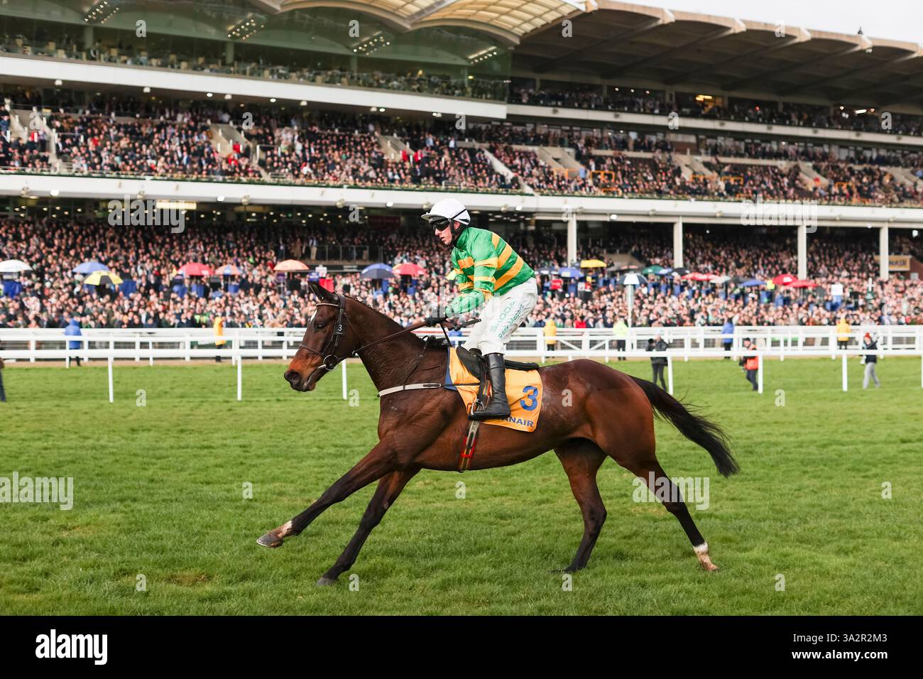 Cheltenham, England. March 13, 2025: Jockey, Mark Walsh on Fact to File ...