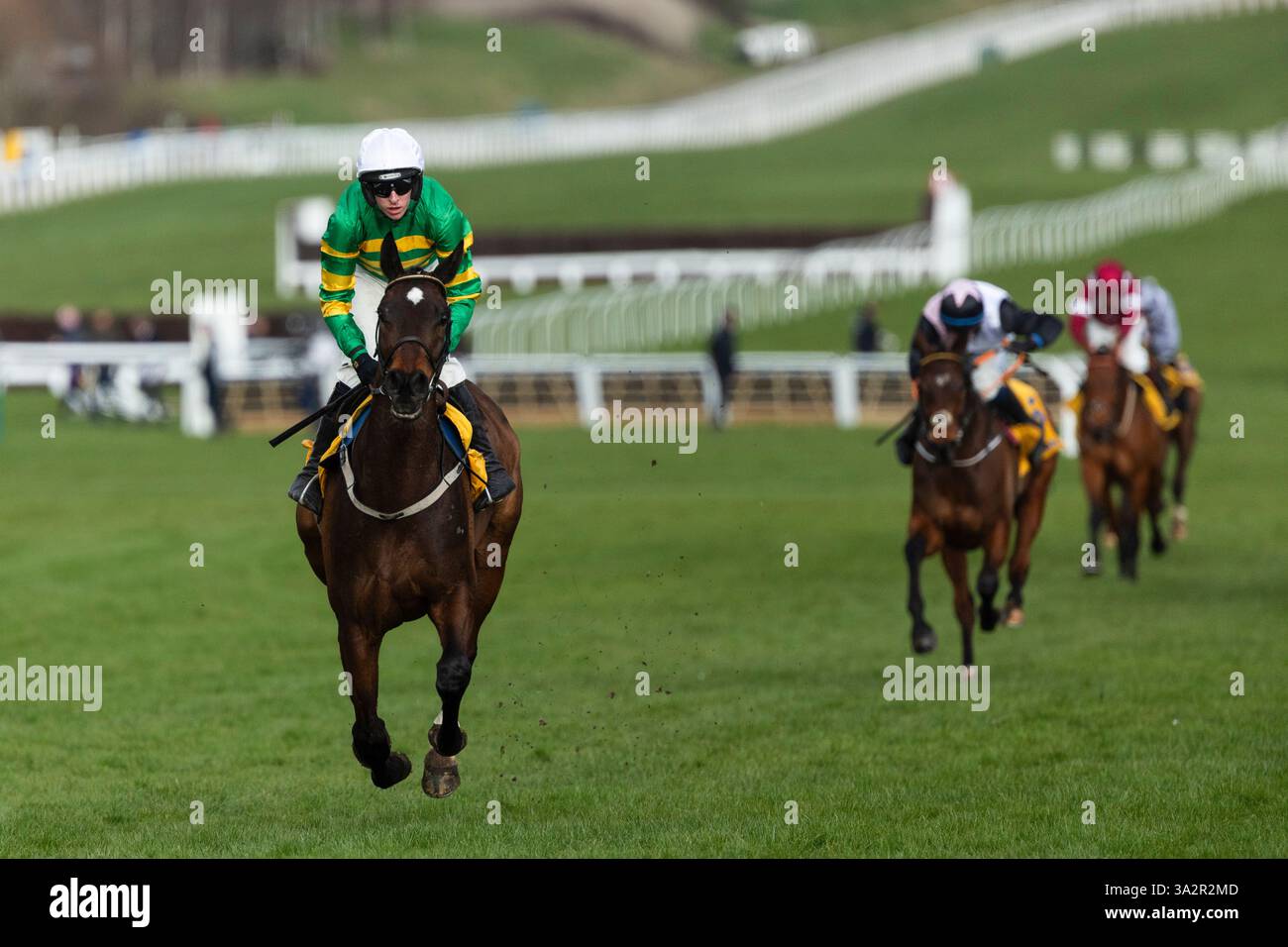Cheltenham, England. March 13, 2025: Jockey, Mark Walsh on Fact to File ...