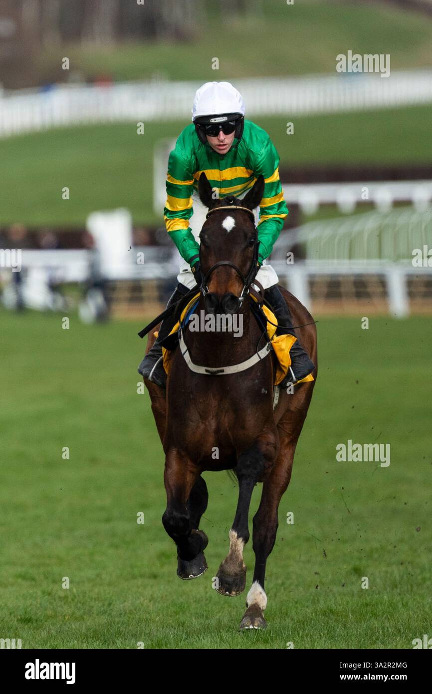 Cheltenham, England. March 13, 2025: Jockey, Mark Walsh on Fact to File ...