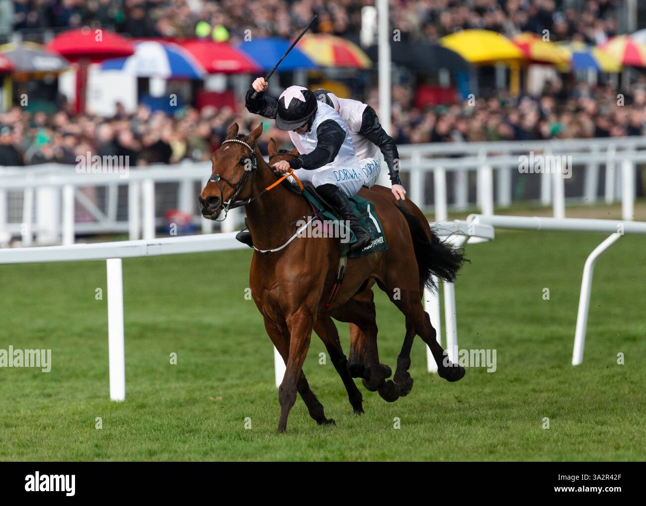 Cheltenham, England. March 13, 2025: Jockeys Rachel Blackmore on Bob ...