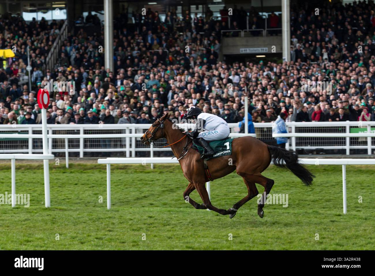 Cheltenham, England. March 13, 2025: Jockey Rachel Blackmore on Bob ...
