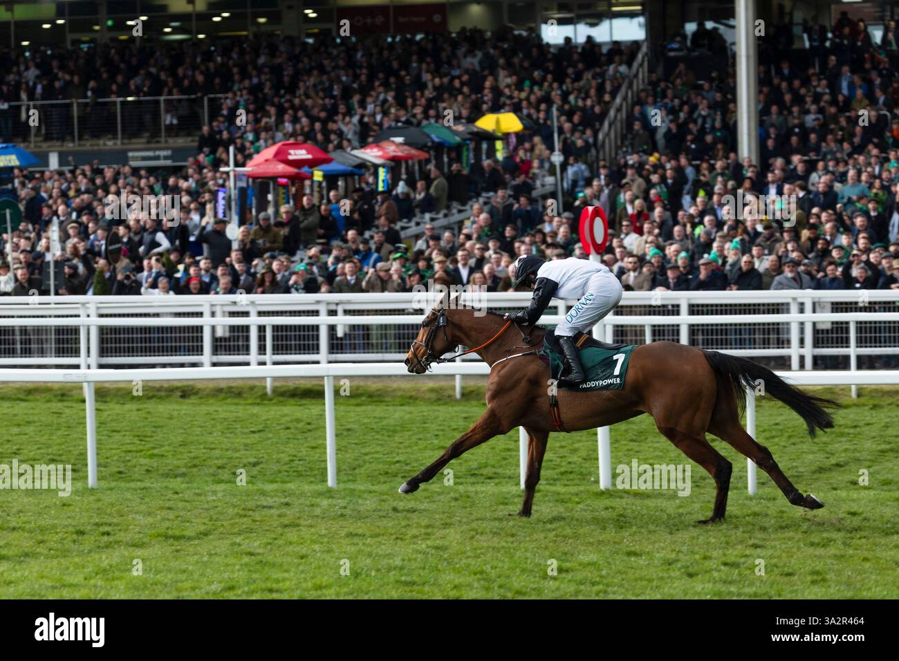 Cheltenham, England. March 13, 2025: Jockey Rachel Blackmore on Bob ...