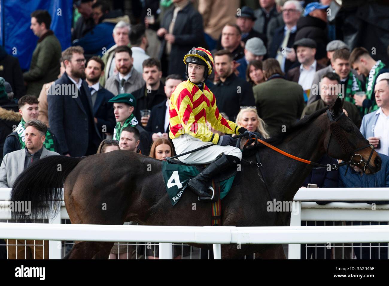 Cheltenham, England. March 13, 2025: Jockey, Gavin Brouder on Francisan ...