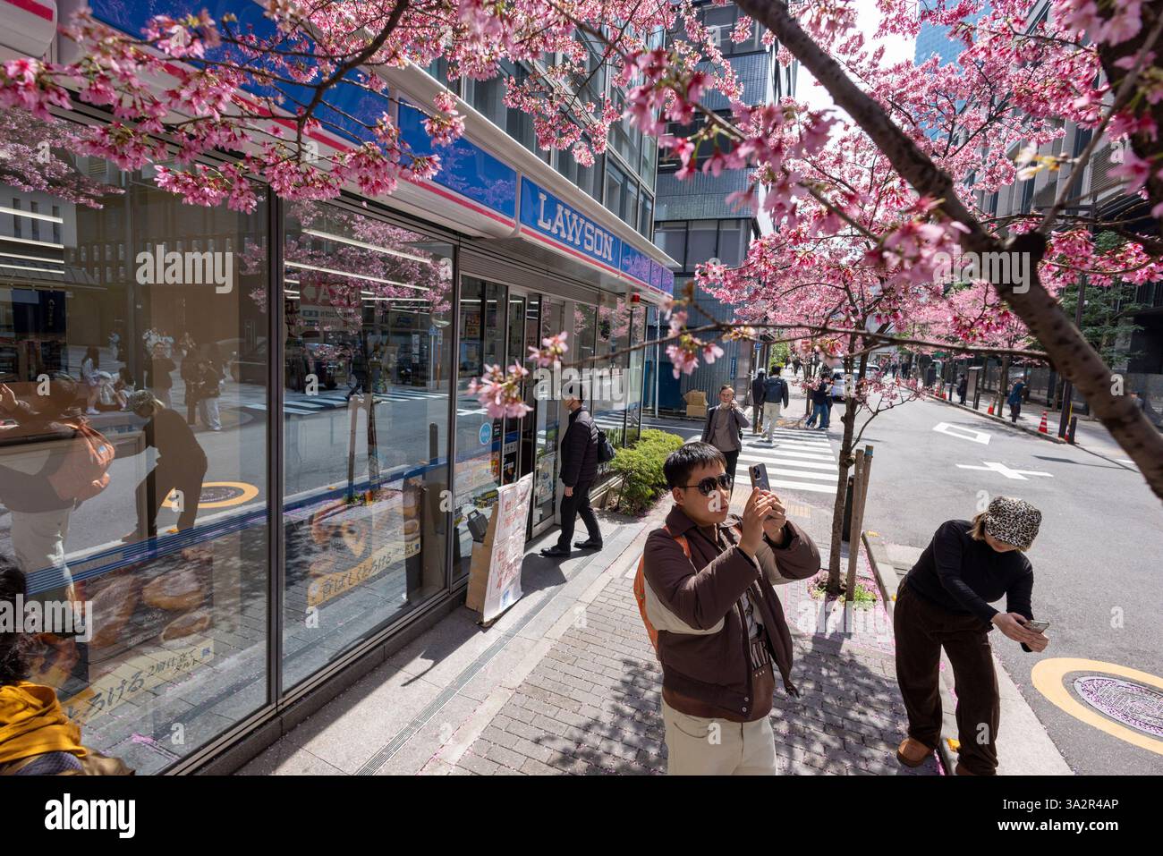 March 13, 2025, Tokyo, Japan: Tourists take photos of early blooming ...