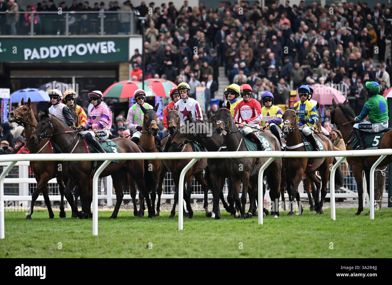 13th March 2025; Cheltenham Racecourse, Cheltenham, Gloucestershire ...