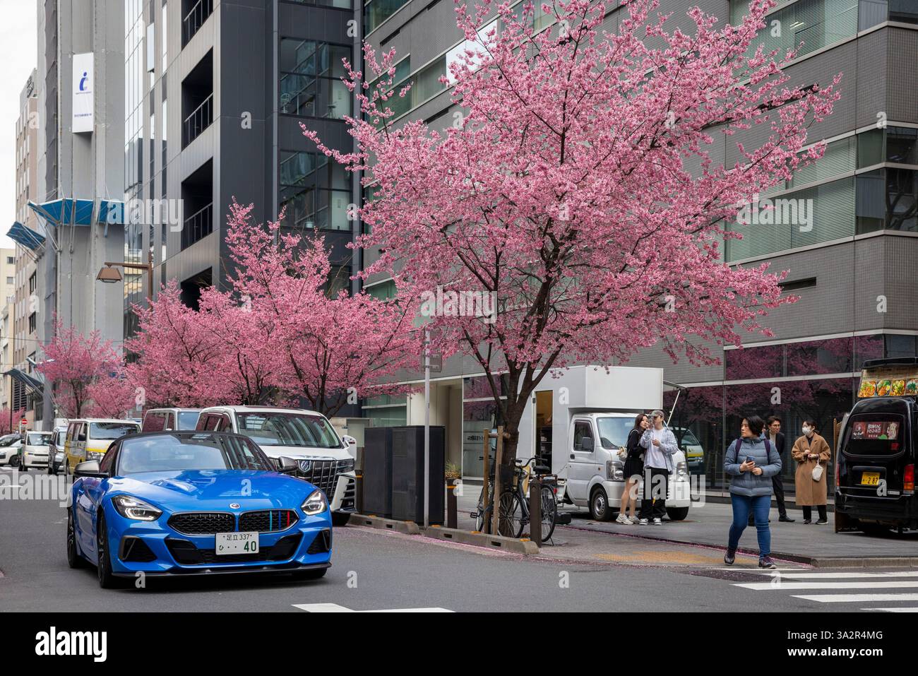 March 13, 2025, Tokyo, Japan: BMW open roof roadster drives through a ...