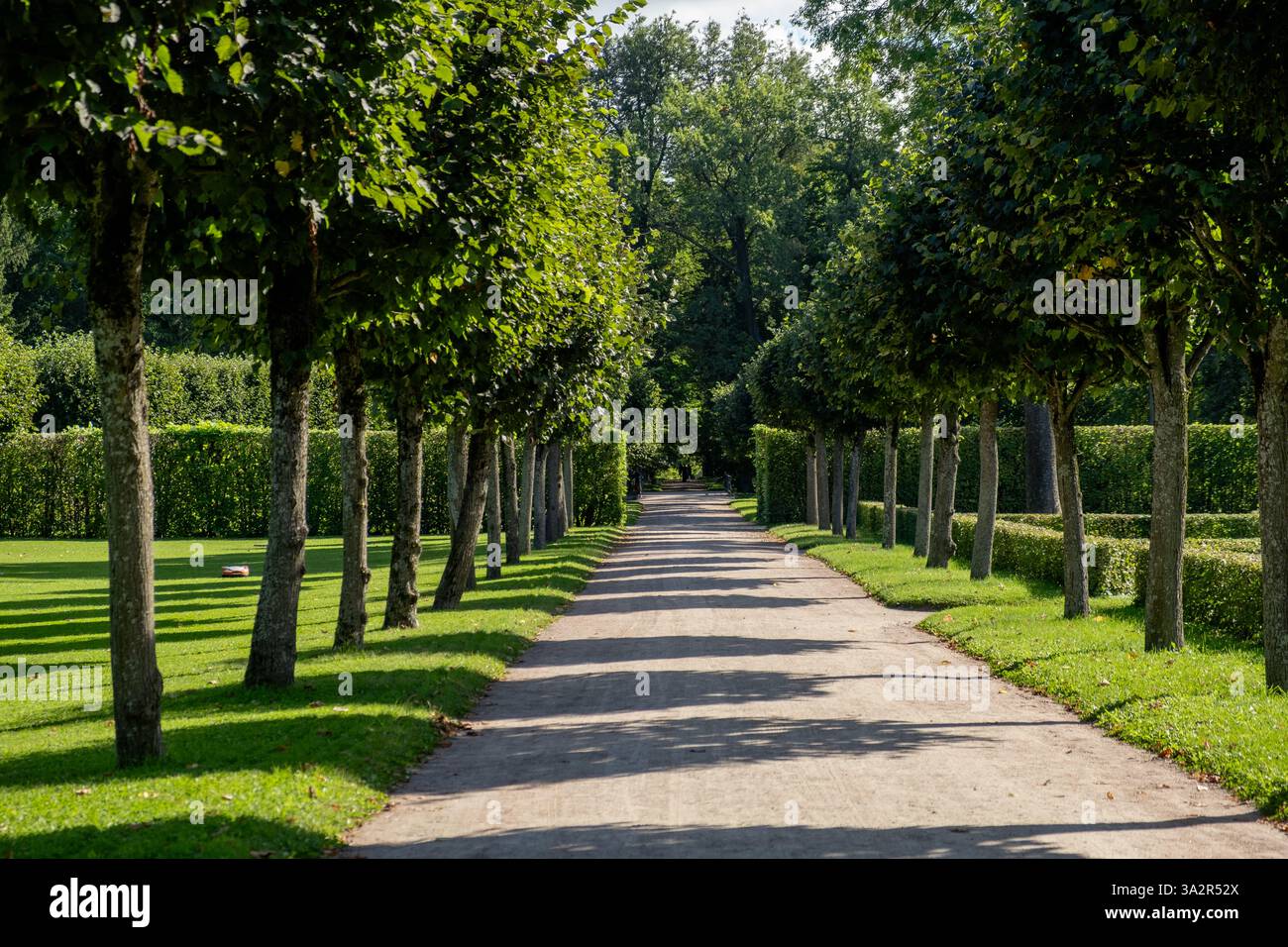 A scenic pathway is surrounded by neatly trimmed trees and hedges ...
