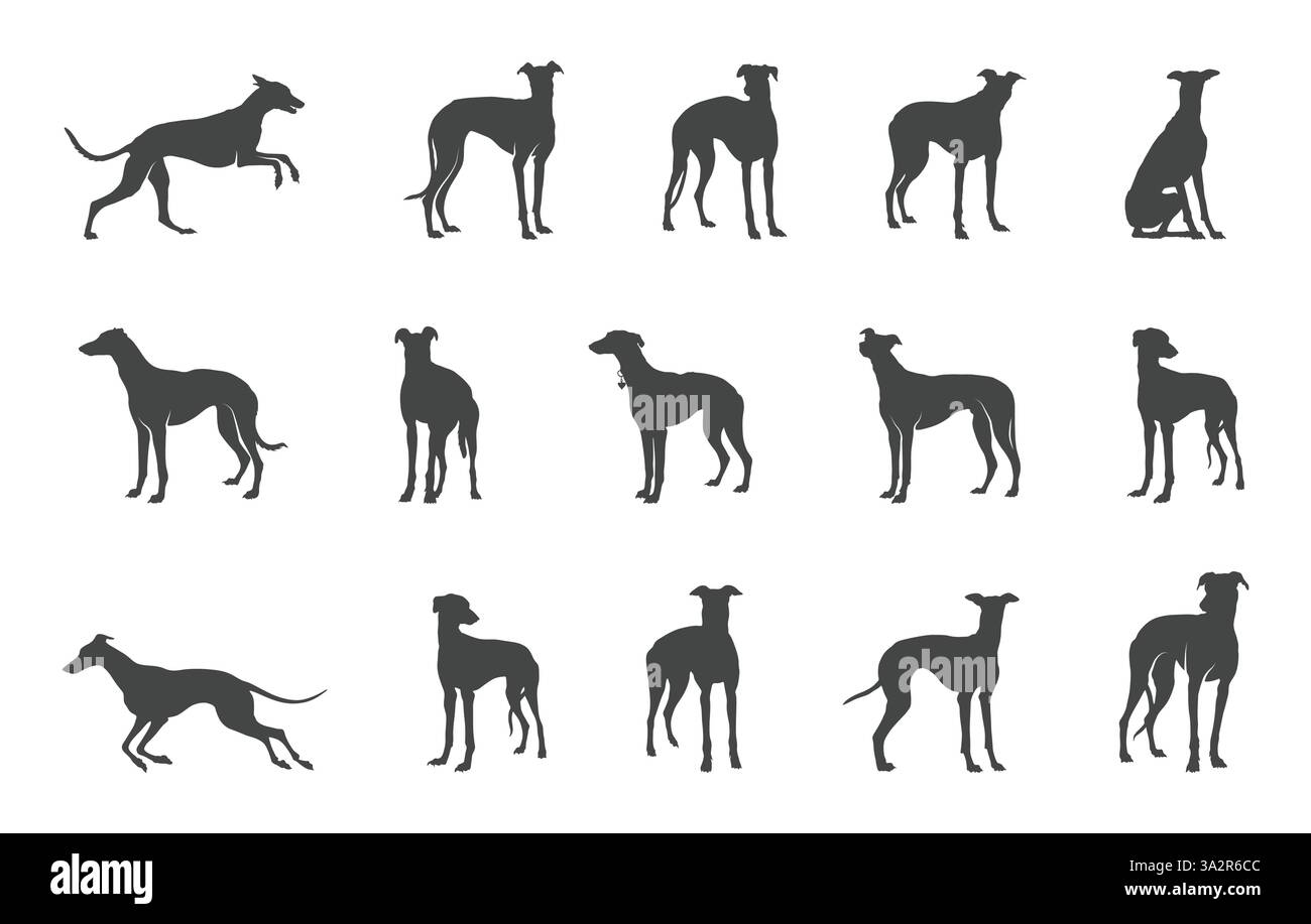 Greyhound Svg, Greyhound Dog Silhouette, Greyhound Dog Svg, Greyhound ...