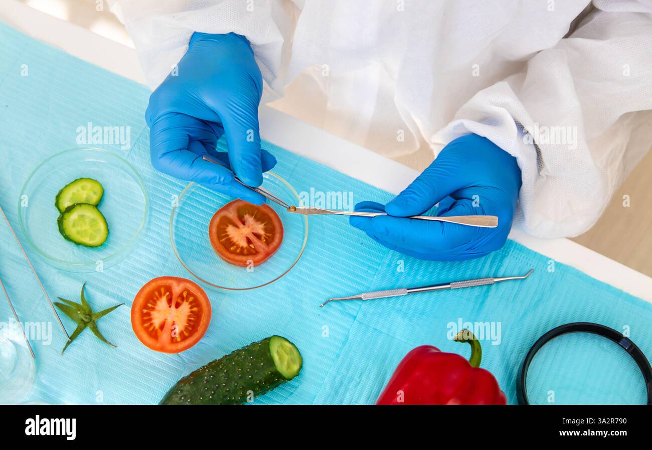 laboratory testing of different food products. Selective focus. people ...