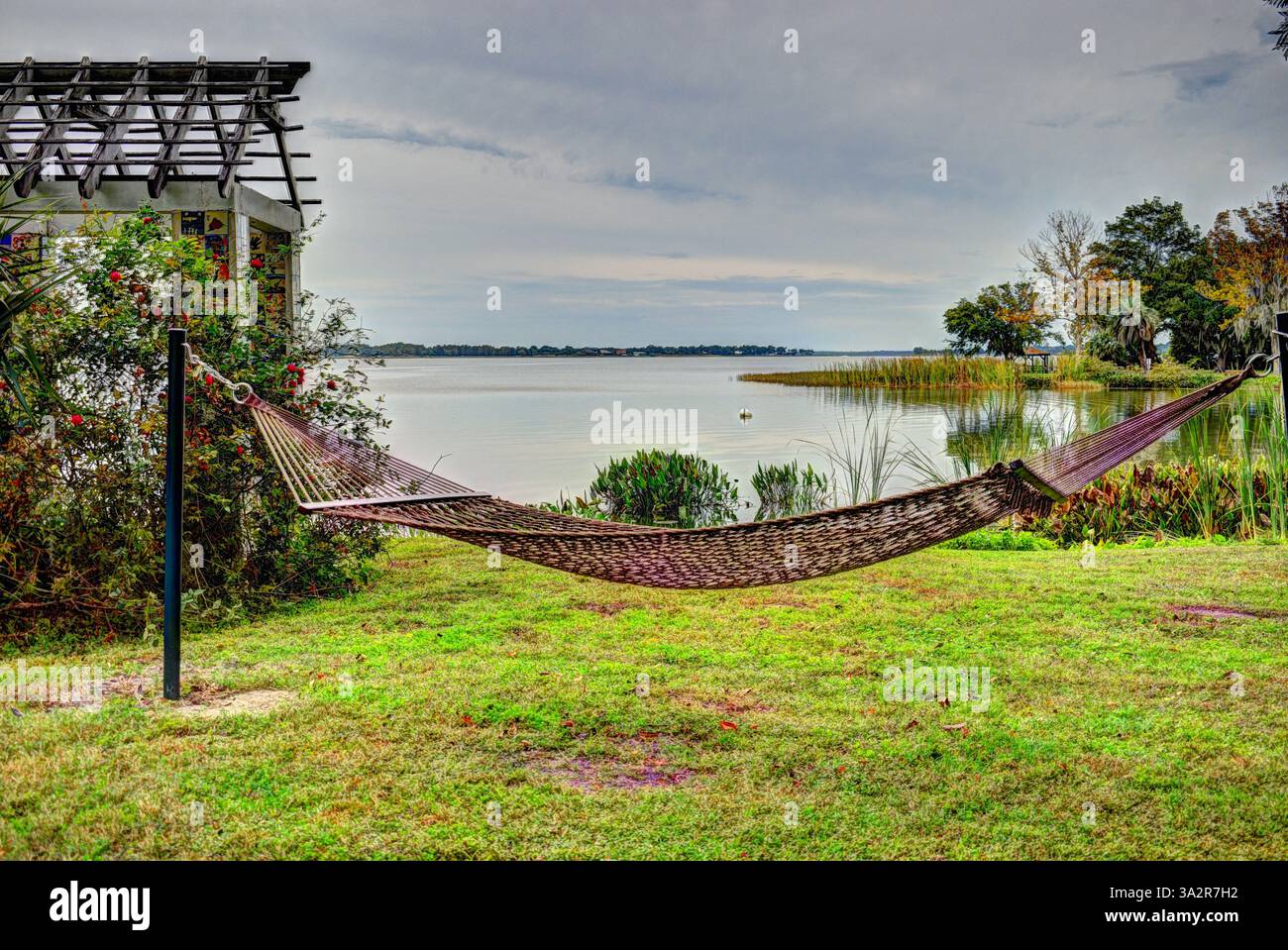 Mount Dora Florida Park, Hammock on Lake Dora Stock Photo - Alamy