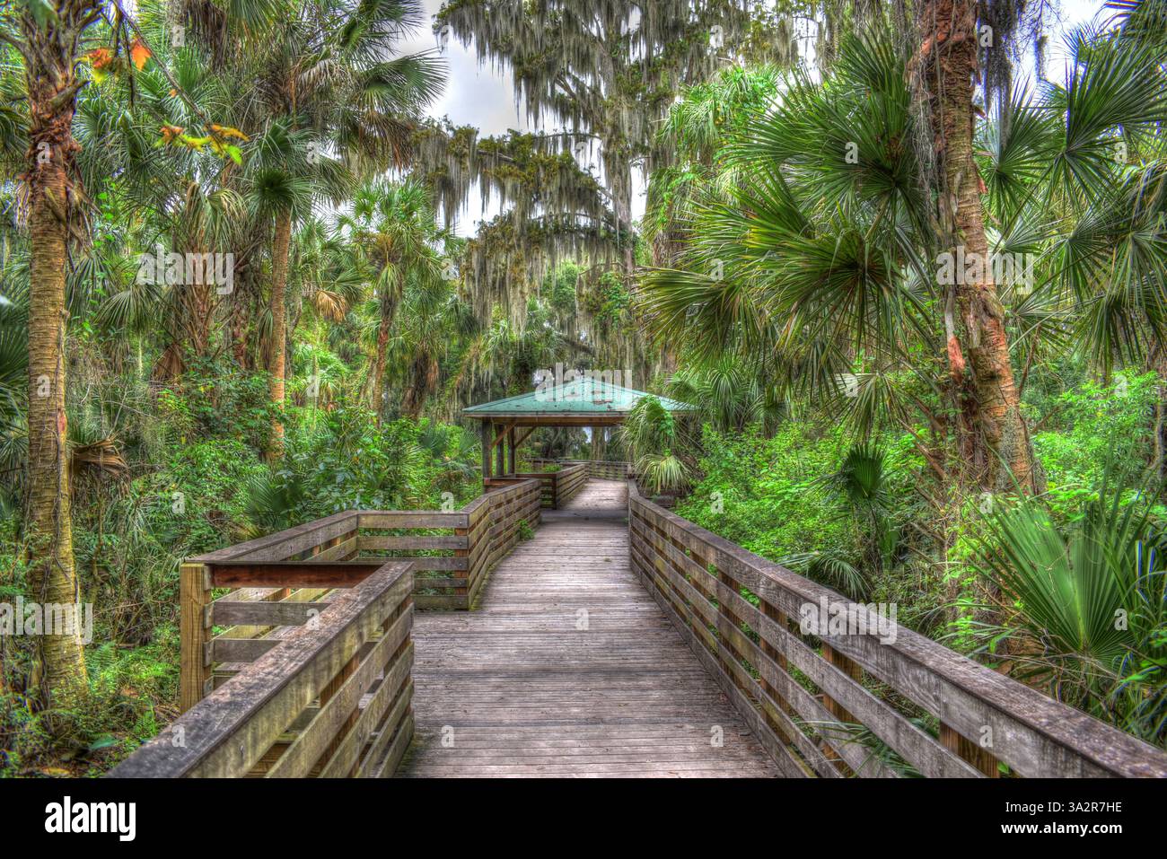 Palm Island Park Boardwalk at Mount Dora Florida Stock Photo - Alamy