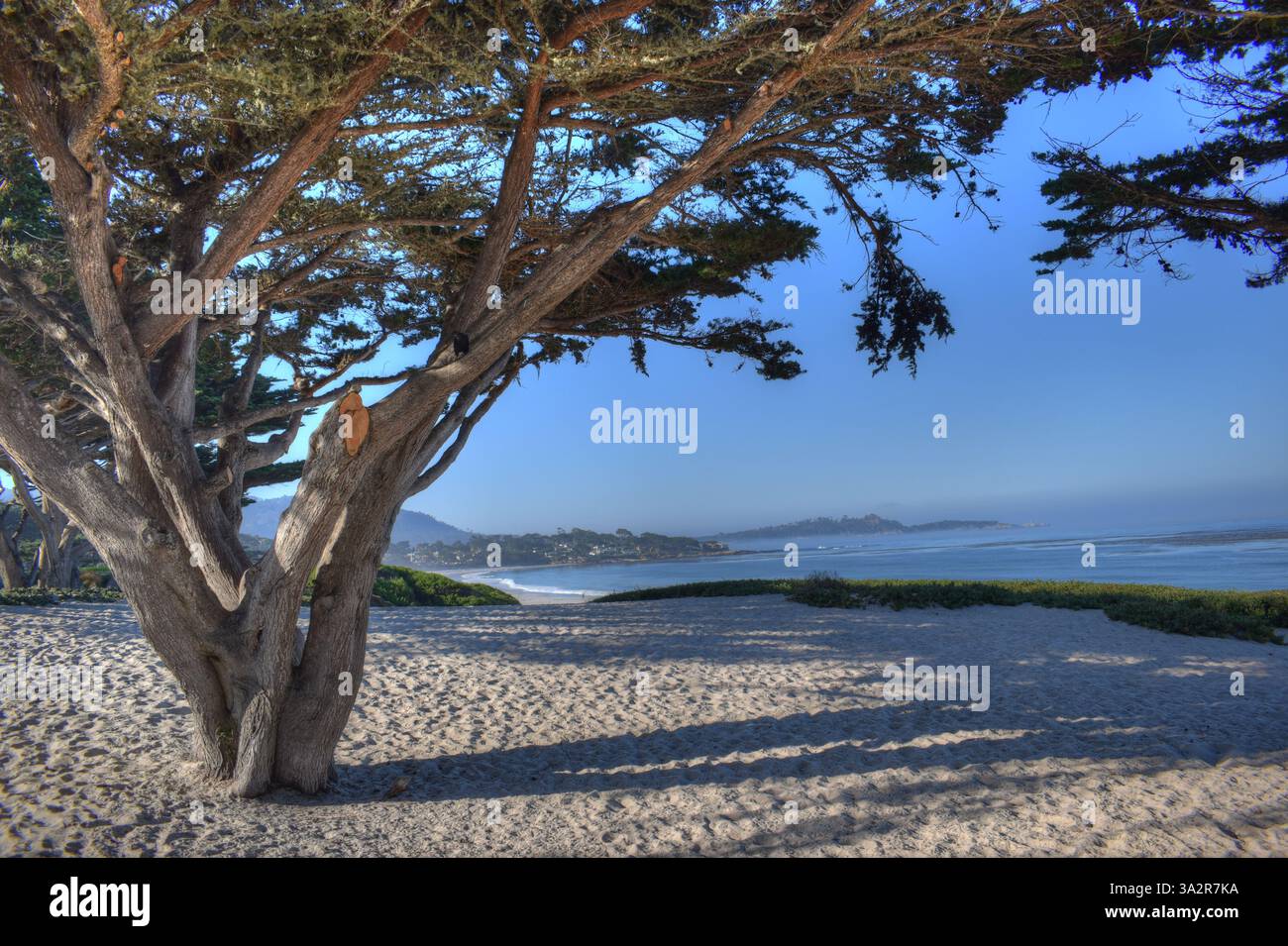 Carmel Beach Park at Carmel by the Sea, California Stock Photo - Alamy