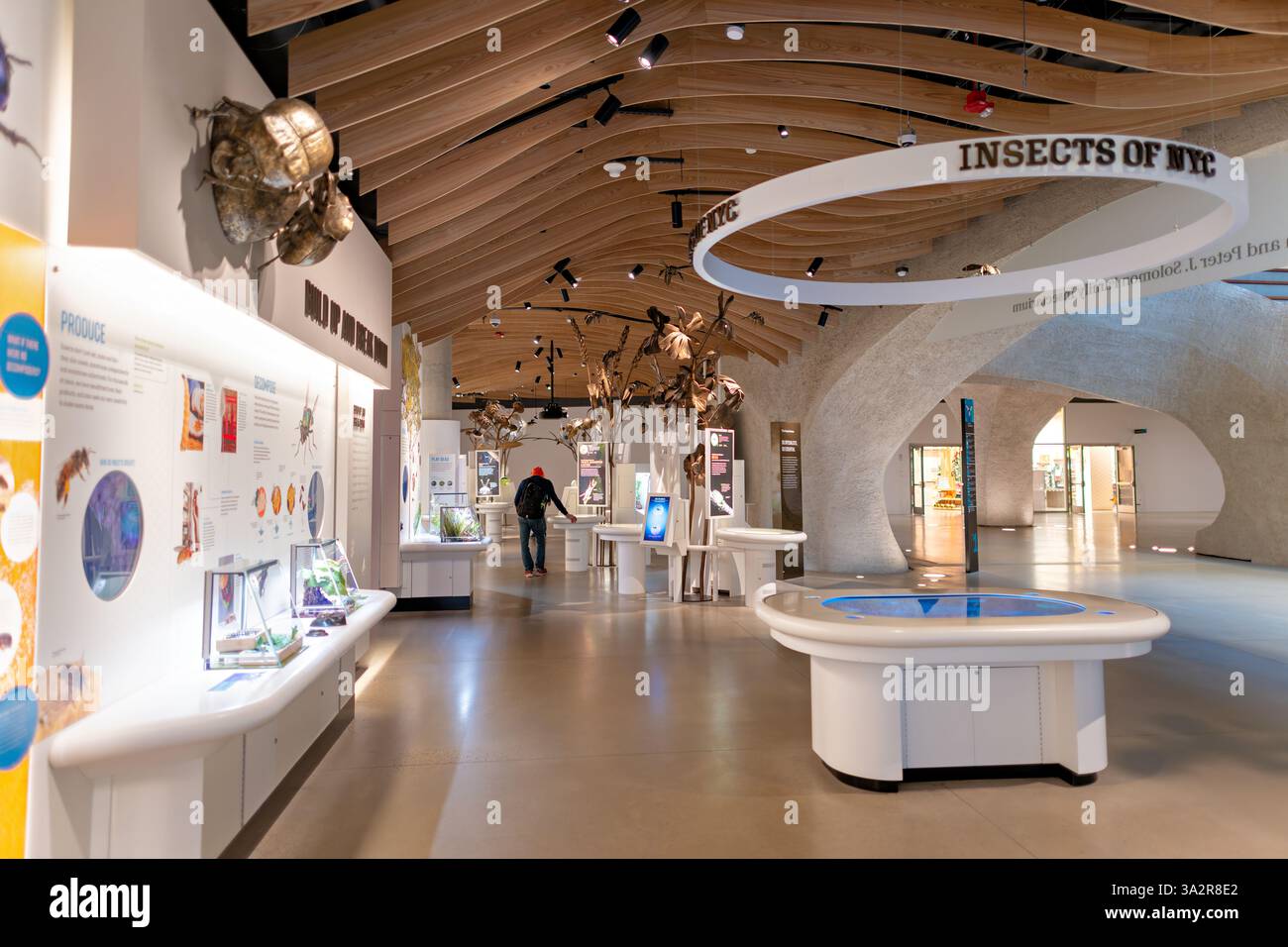 Interactive insect exhibit hi-res stock photography and images - Alamy