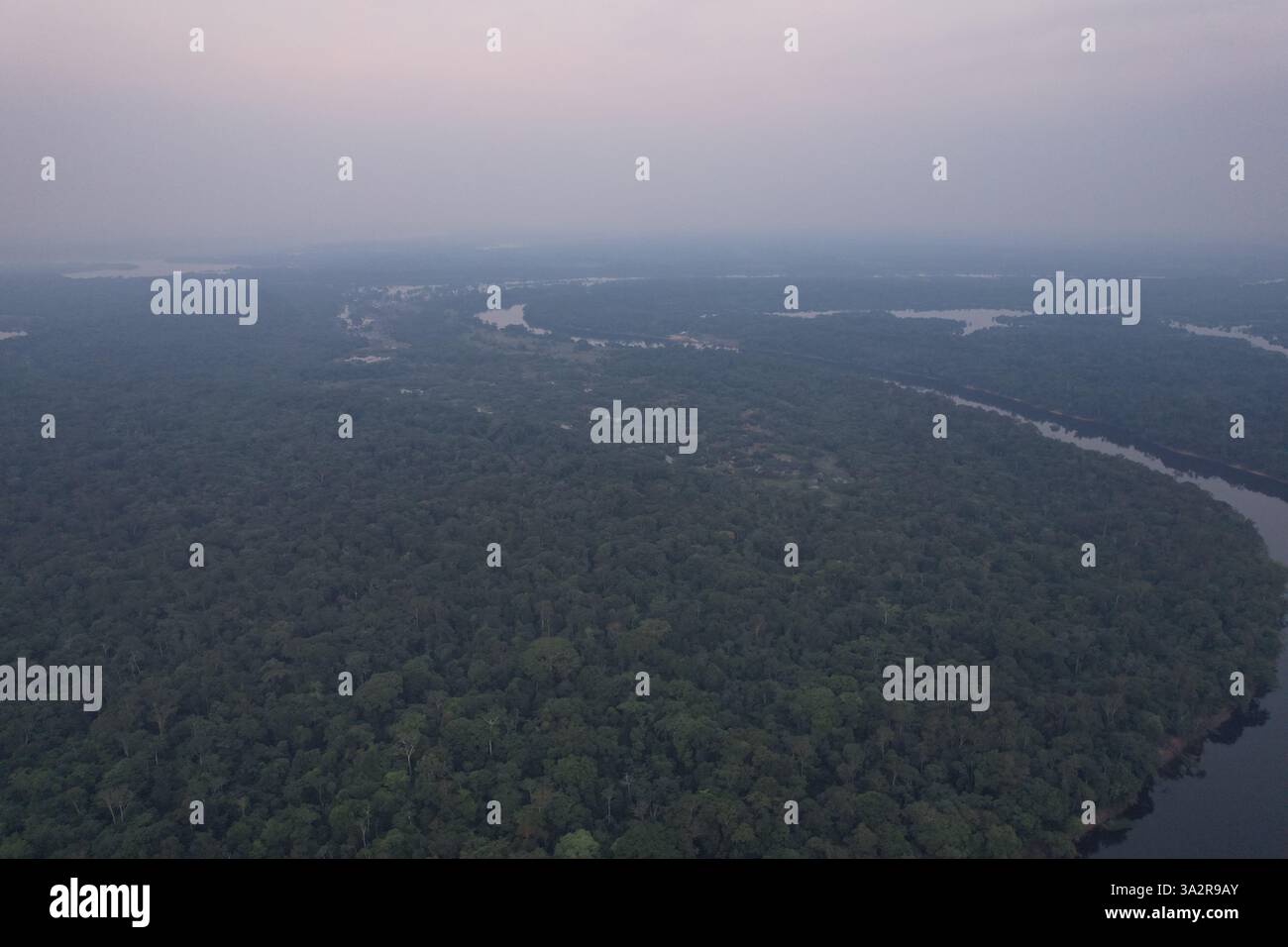 Lush green landscape featuring winding rivers in the Amazon rainforest ...