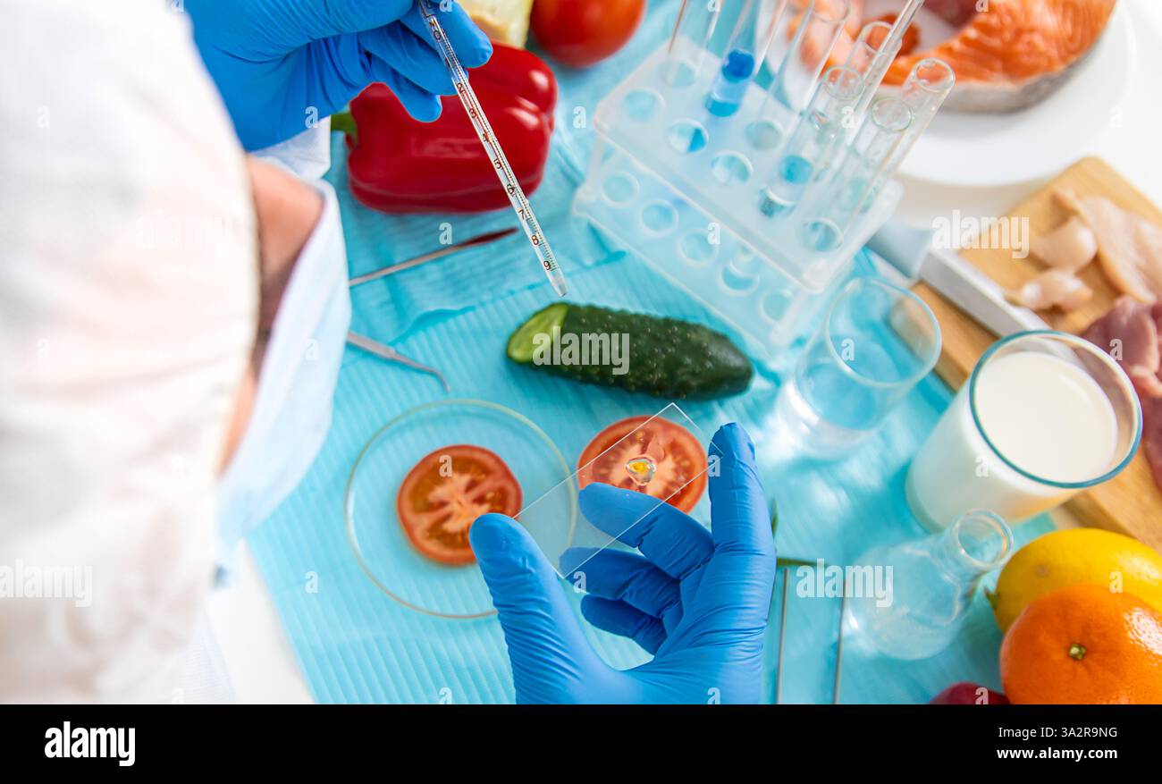laboratory testing of different food products. Selective focus. people ...