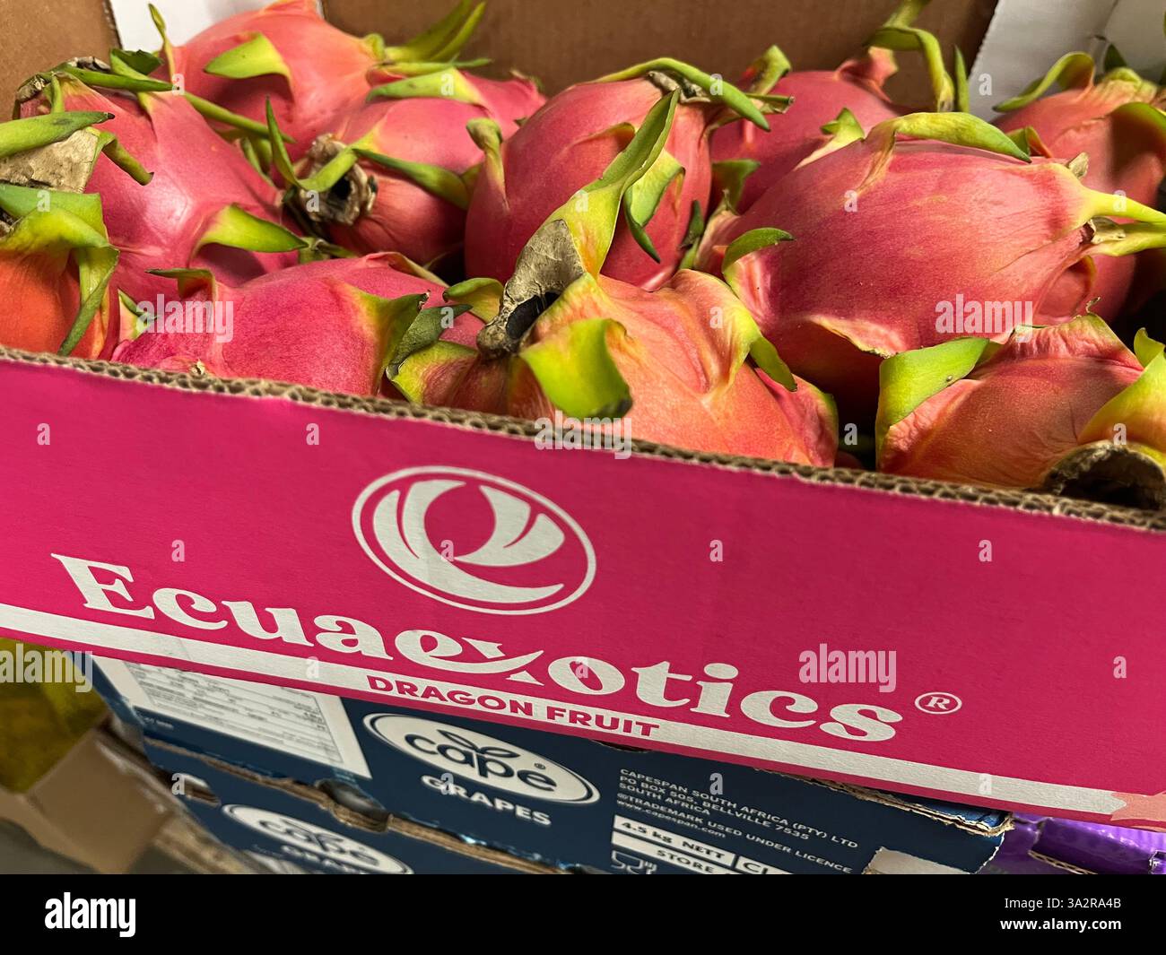 red Pitahaya, red Dragon fruit, red Dragon fruits, Ecuaexotics, Ecuador ...
