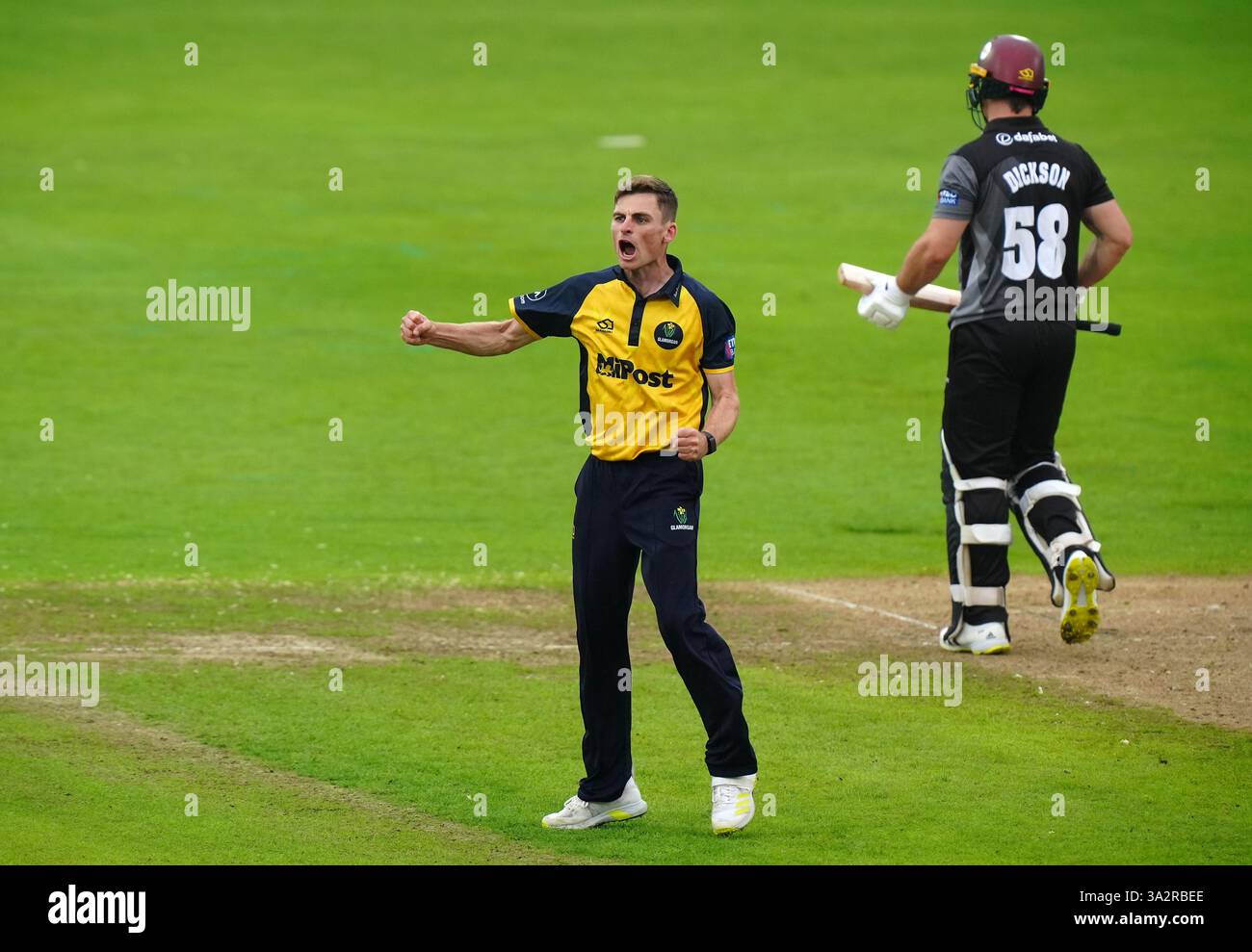Glamorgan's Andy Gorvin celebrates taking the wicket of Somerset's Sean ...