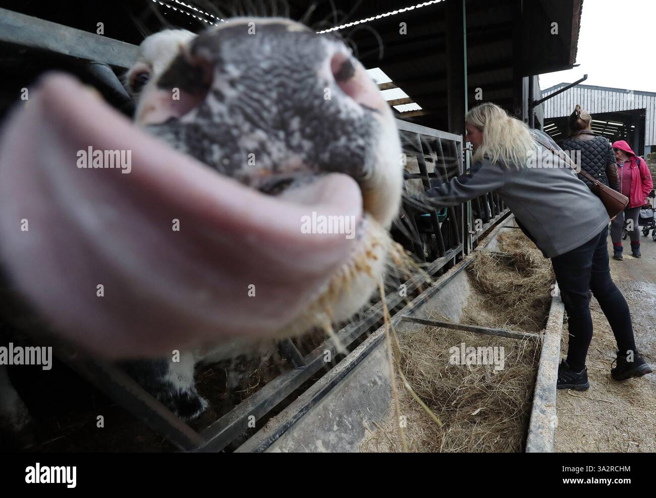 EDITORIAL USE ONLY Andrea Mills, Morrissons community champion, during ...