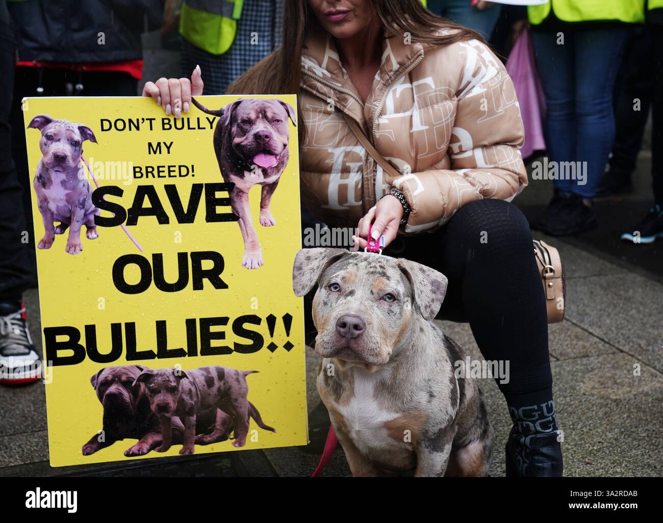 American bully Shadow at Leinster House, Dublin, during a protest ...