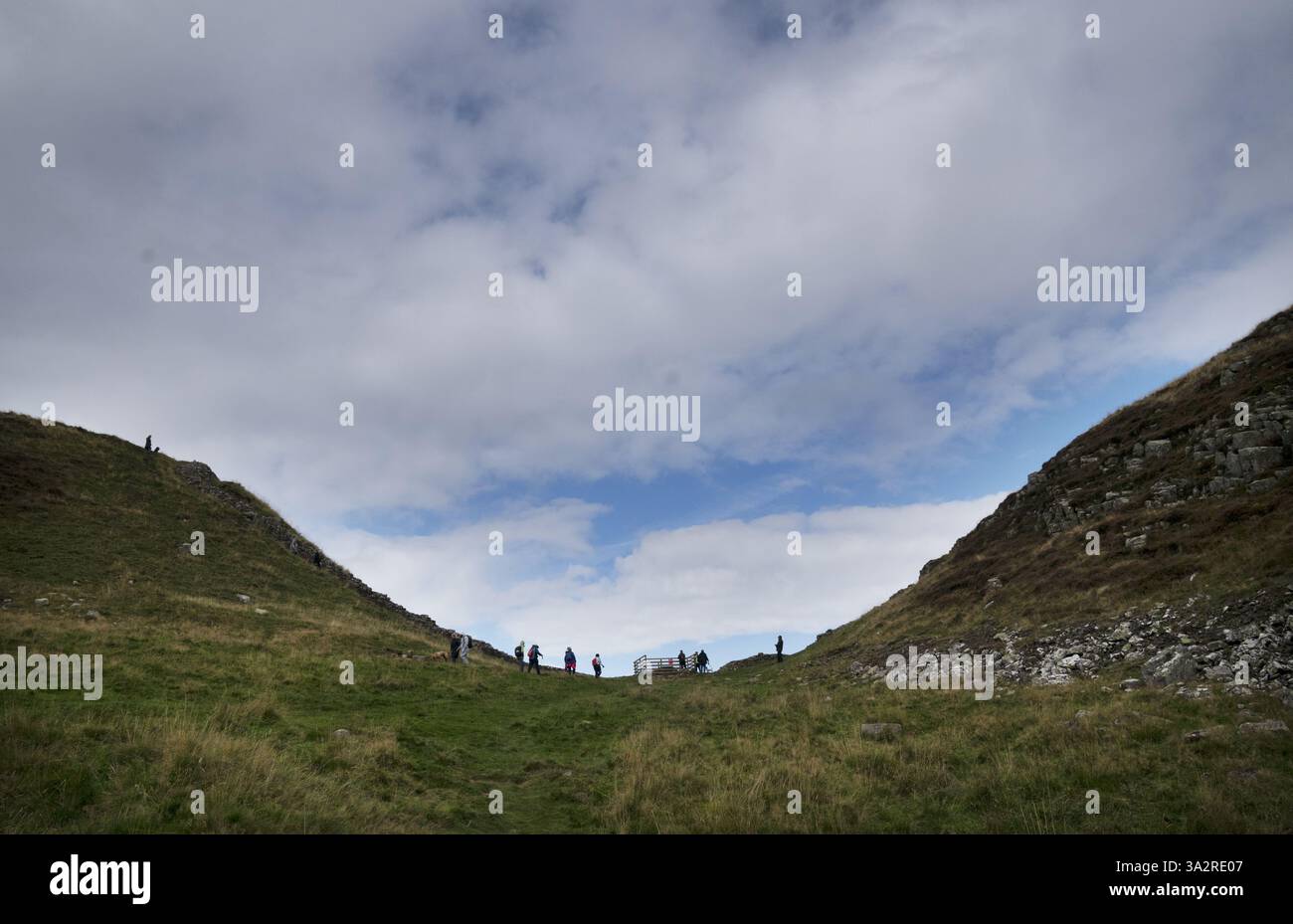 EMBARGOED TO 0001 FRIDAY SEPTEMBER 27 People gather around the stump of ...