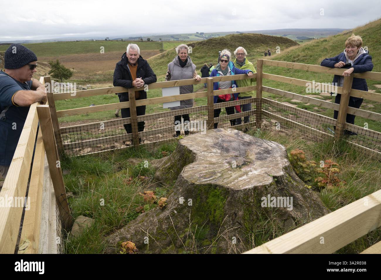 EMBARGOED TO 0001 FRIDAY SEPTEMBER 27 People gather around the stump of ...