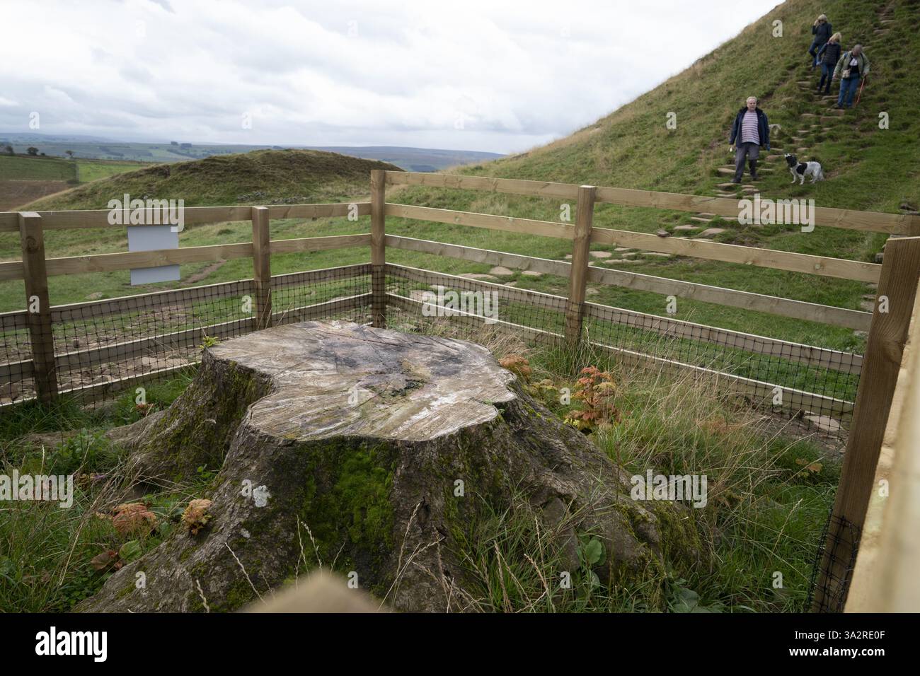 EMBARGOED TO 0001 FRIDAY SEPTEMBER 27 The stump of the Sycamore Gap ...