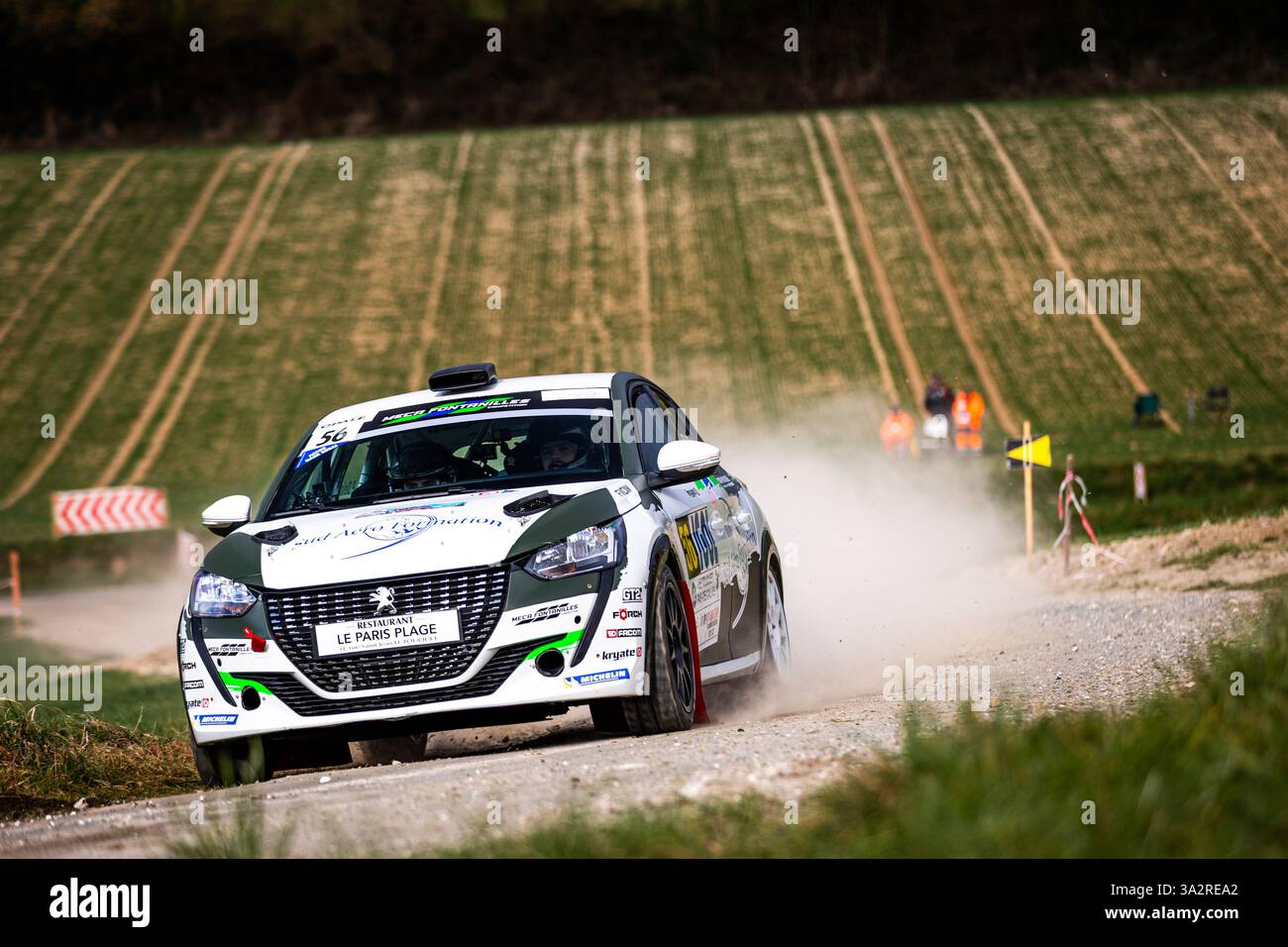 56 CASALE Julien, DELORME Pierre, Peugeot 208 Rally4, action during the ...