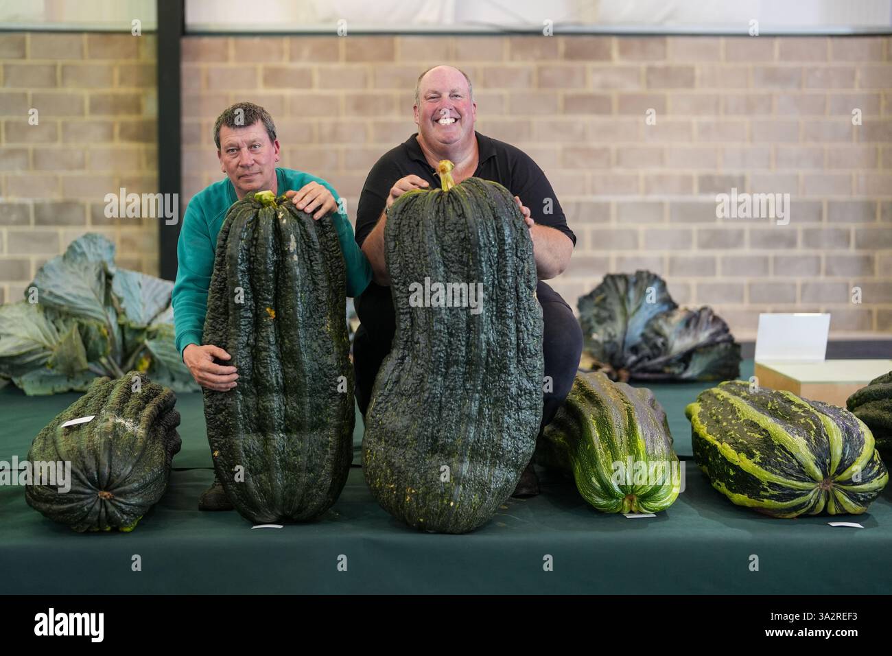 Carl Lambourne and Tim Saint with marrow they have both entered ahead ...