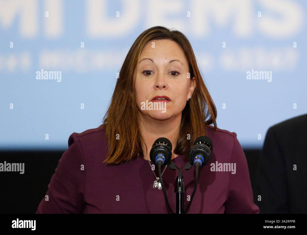 FILE - Megan Cavanagh, a candidate for the Michigan Supreme Court ...