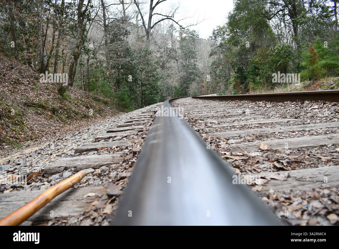 Traveling the Rails Stock Photo - Alamy