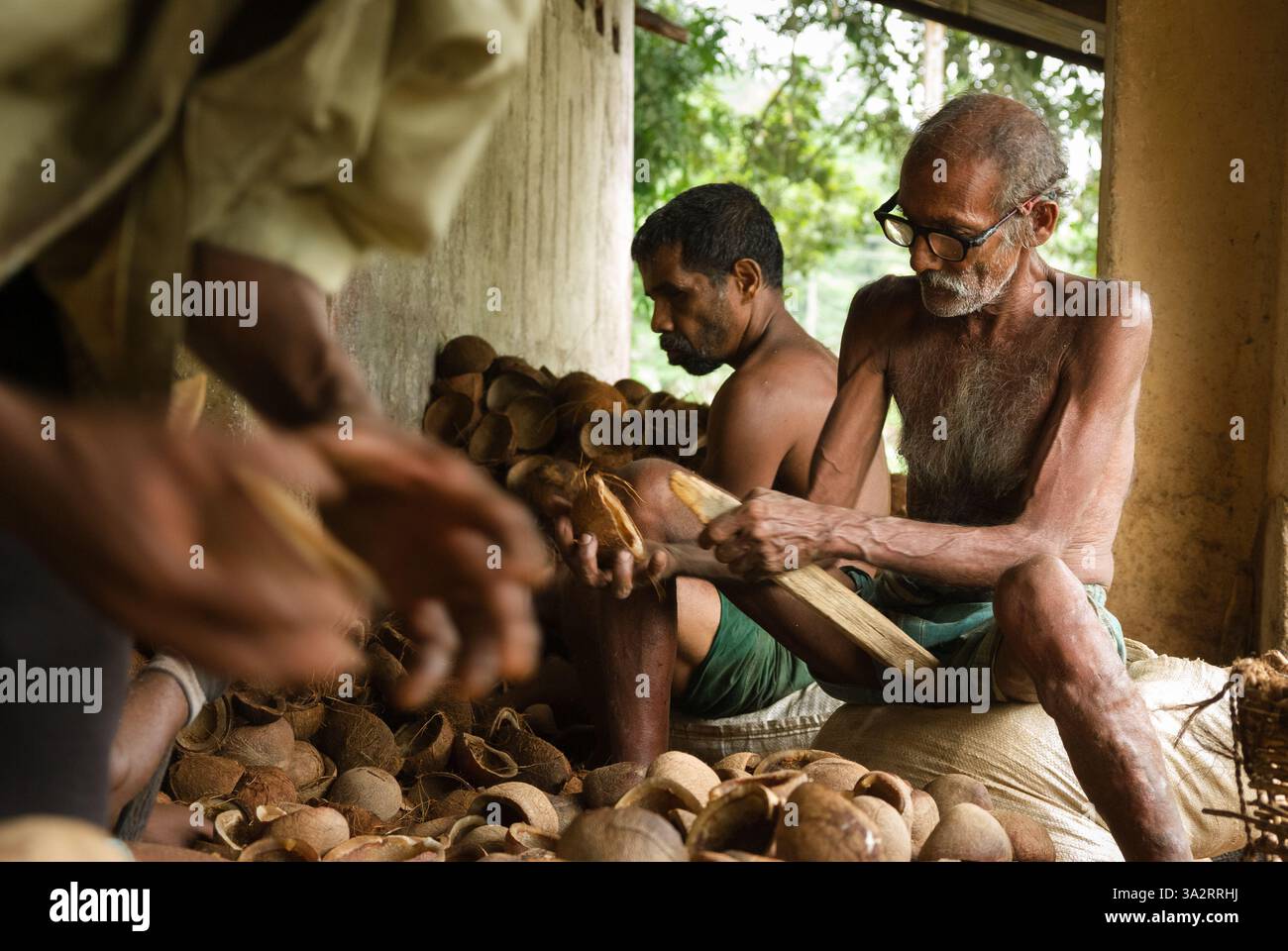 Rambukkana, Kegalle, Sri Lanka — July 17, 2009: Men cleaning coconut ...