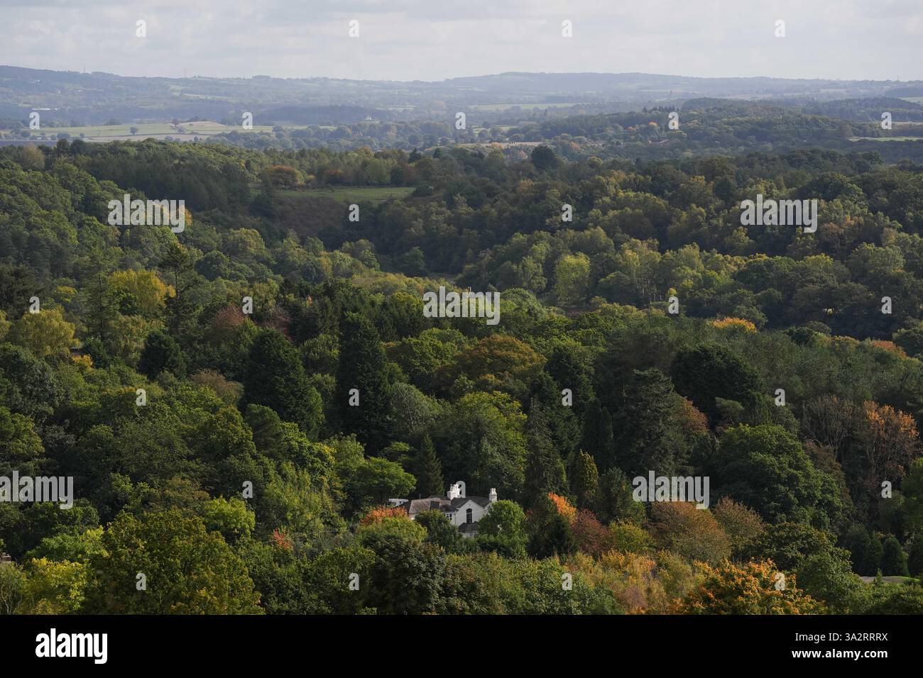 Trees showing autumnal colour in Kidderminster, Worcestershire. Picture ...