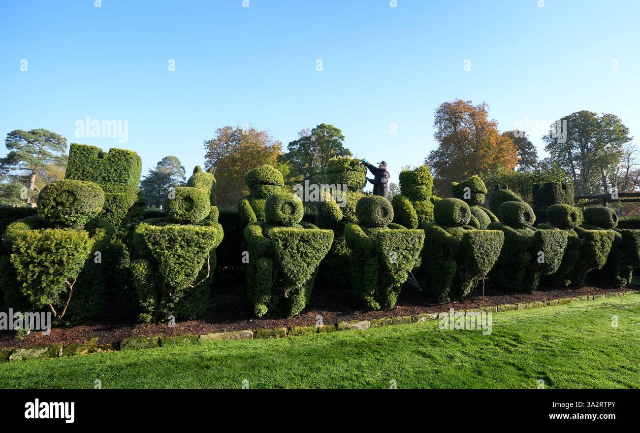 Gardener Janice Ackerley trims the topiary hedge of the yew chess set ...