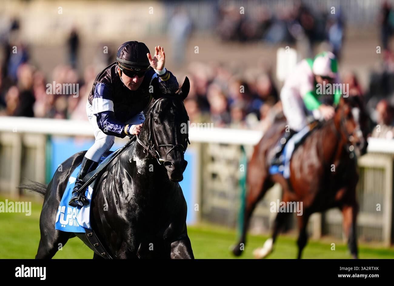 Topgear ridden by jockey Stephane Pasquier wins the Thoroughbred ...