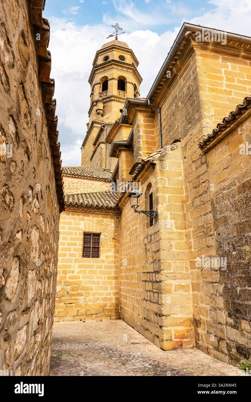 Tower of the medieval cathedral of the Unesco city of Baeza, Andalusia ...