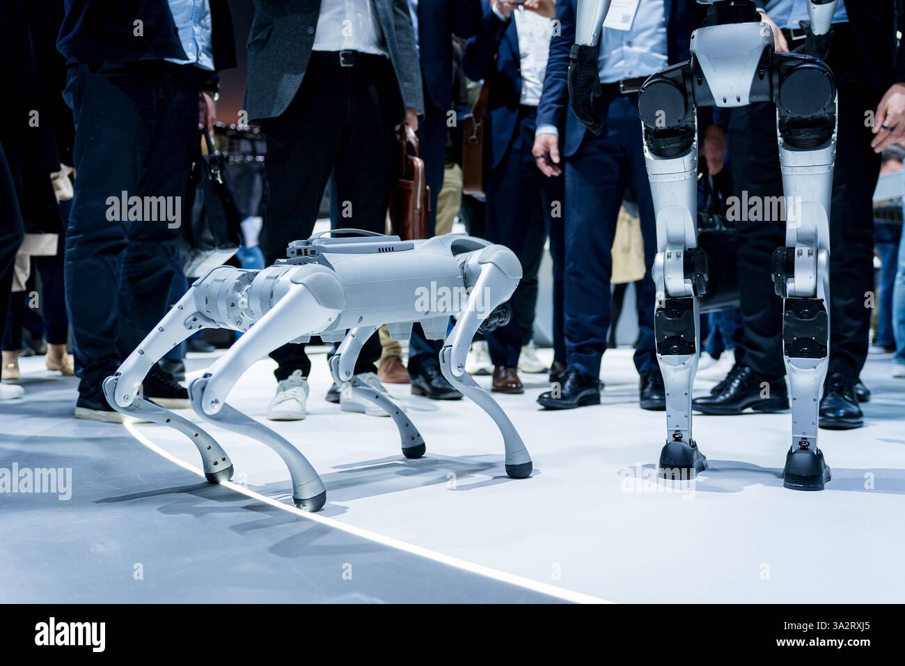 A robot dog walking and playing around people at a technology trade ...