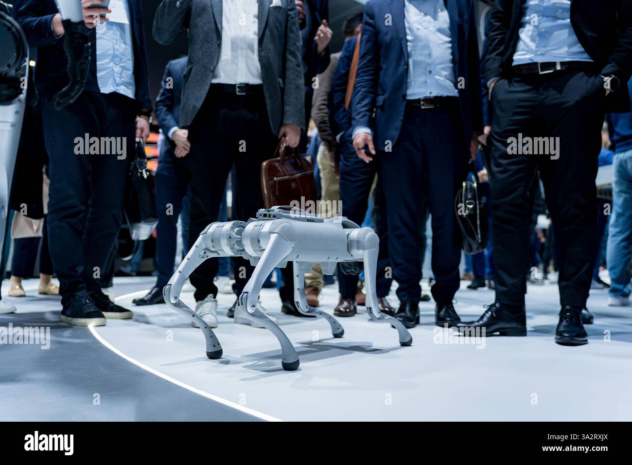 A robot dog walking and playing around people at a technology trade ...