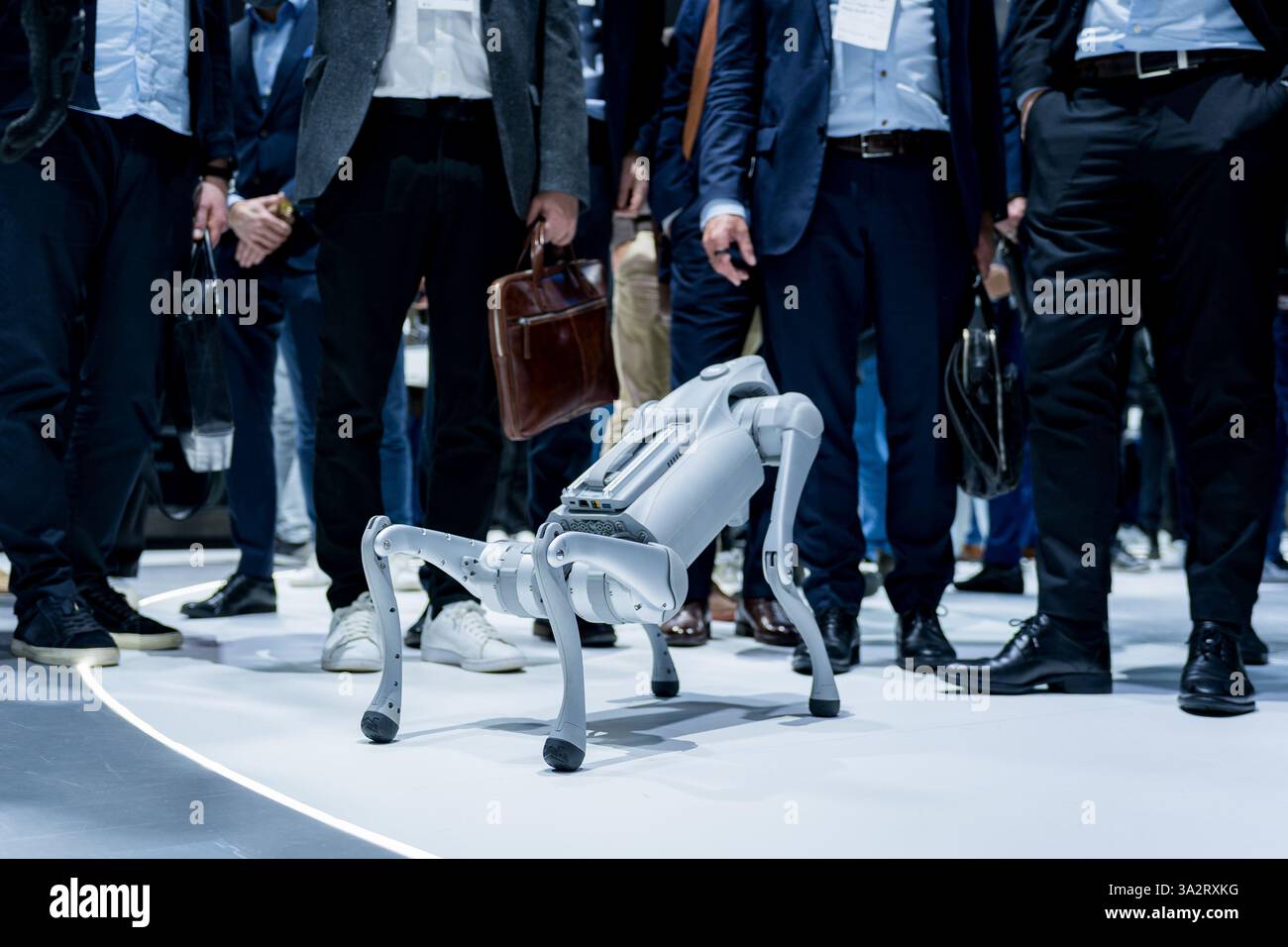 A robot dog walking and playing around people at a technology trade ...