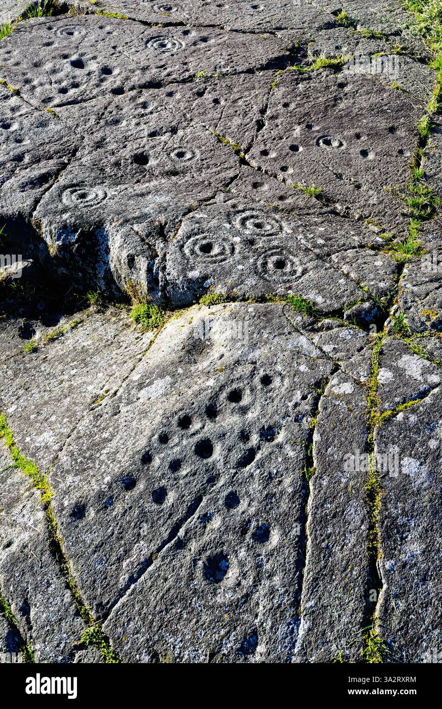Cup and ring mark marks prehistoric Neolithic rock art on natural rock ...