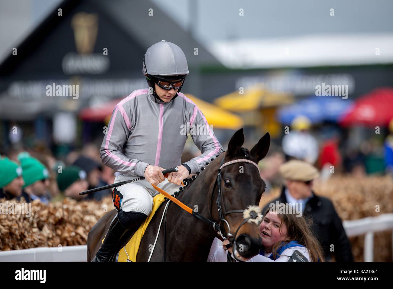 Cheltenham, England. March 13, 2025: Jockey, Harry Reed on Kitty Foyle ...