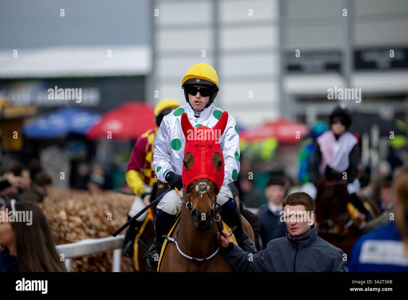 Darragh okeeffe 2025 hi-res stock photography and images - Alamy