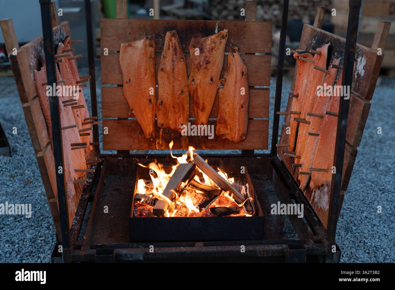 Smoked salmon fish fillet pinned on wooden plank board grilled on open ...