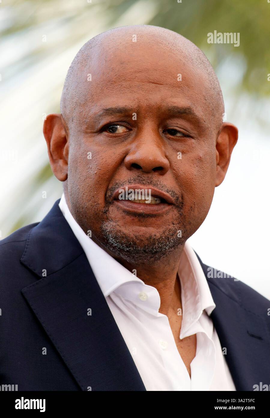 CANNES, FRANCE - MAY 17: Actor Forest Whitaker attends the photocall ...