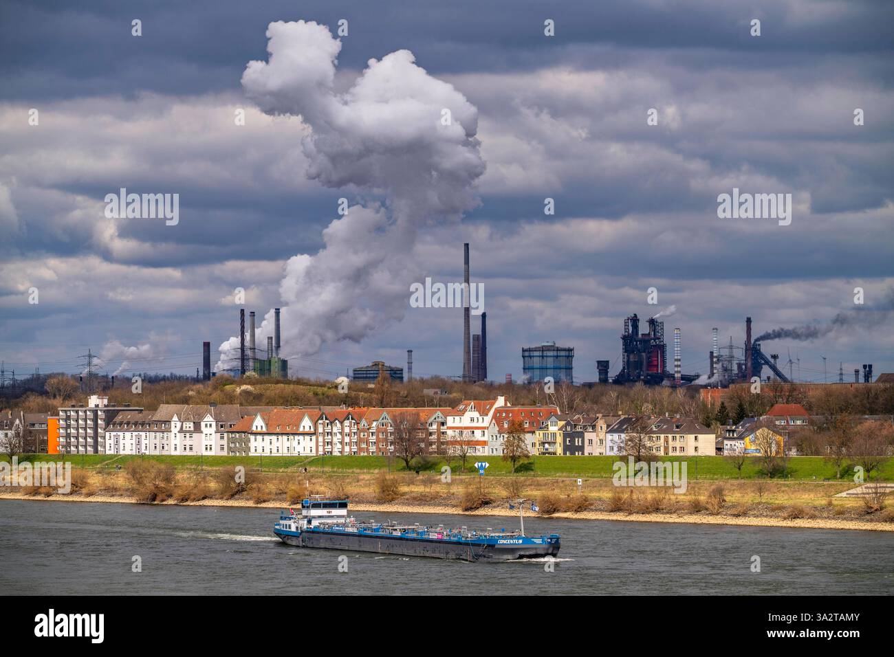 Frachtschiff, Tanker, auf dem Rhein bei Duisburg-Laar, Häuser an der ...