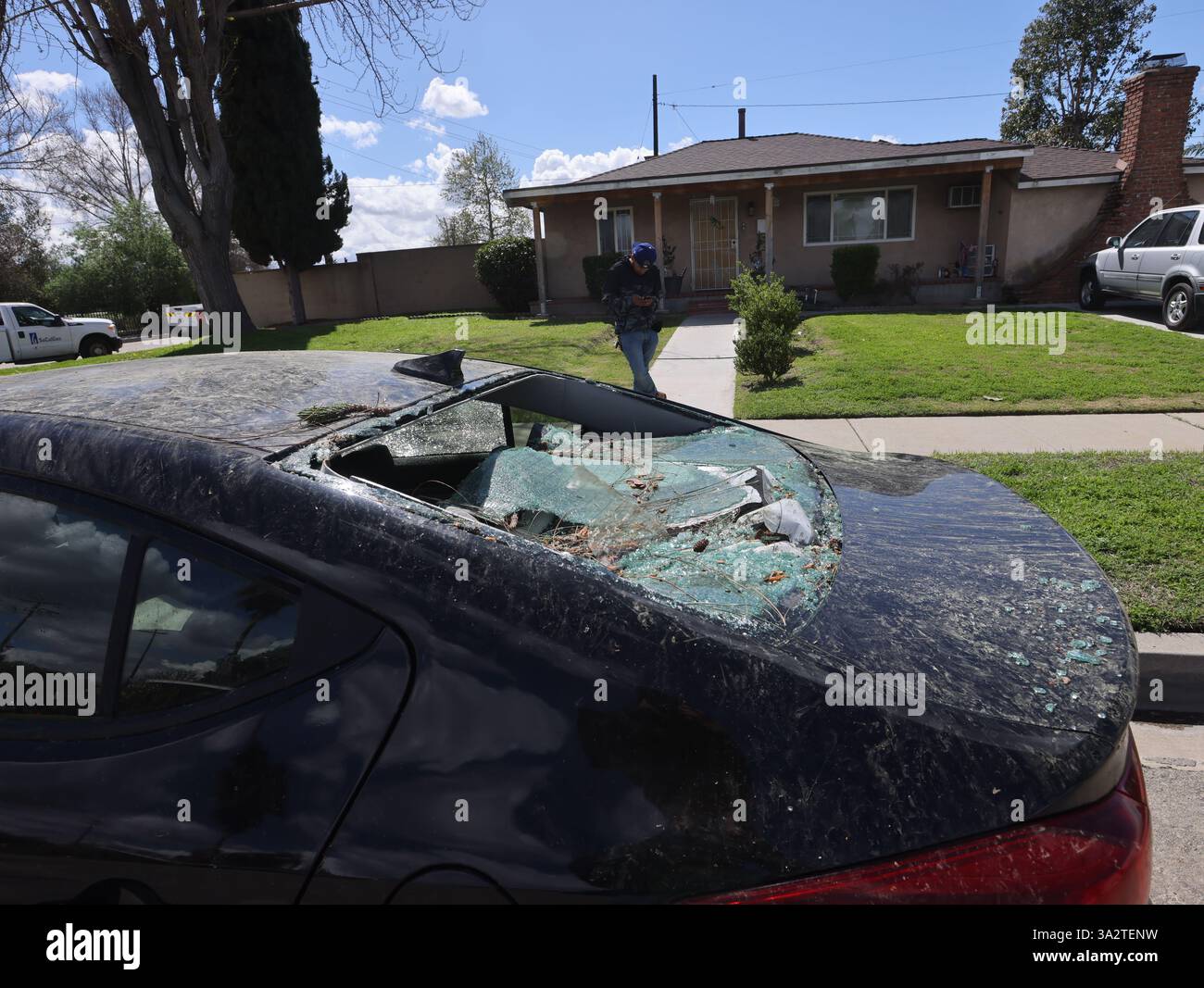 (250313) -- PICO RIVERA (U.S.), March 13, 2025 (Xinhua) -- Photo taken on March 13, 2025 shows a ...