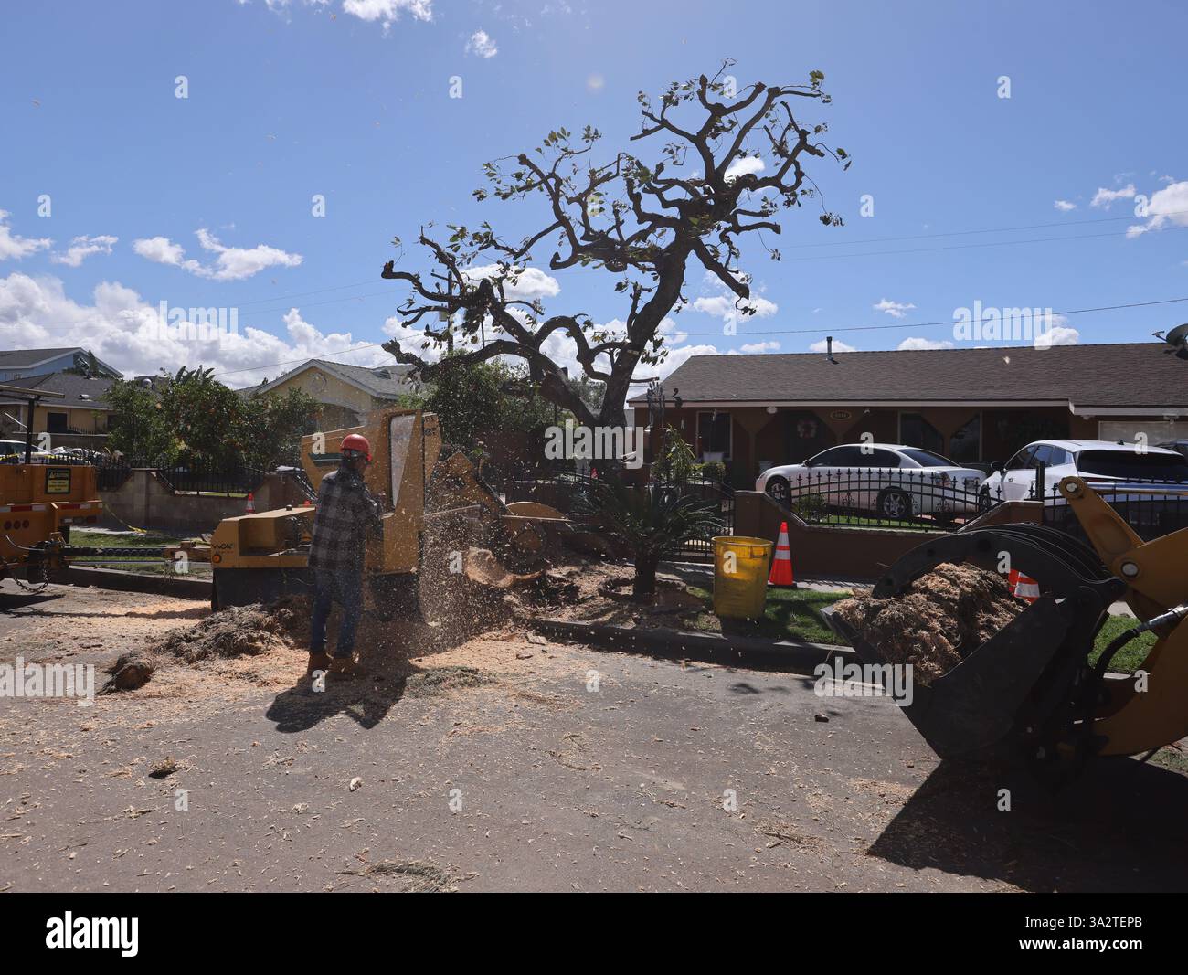 Pico Rivera, USA. 13th Mar, 2025. A worker removes debris after a tornado in Pico Rivera, Los ...